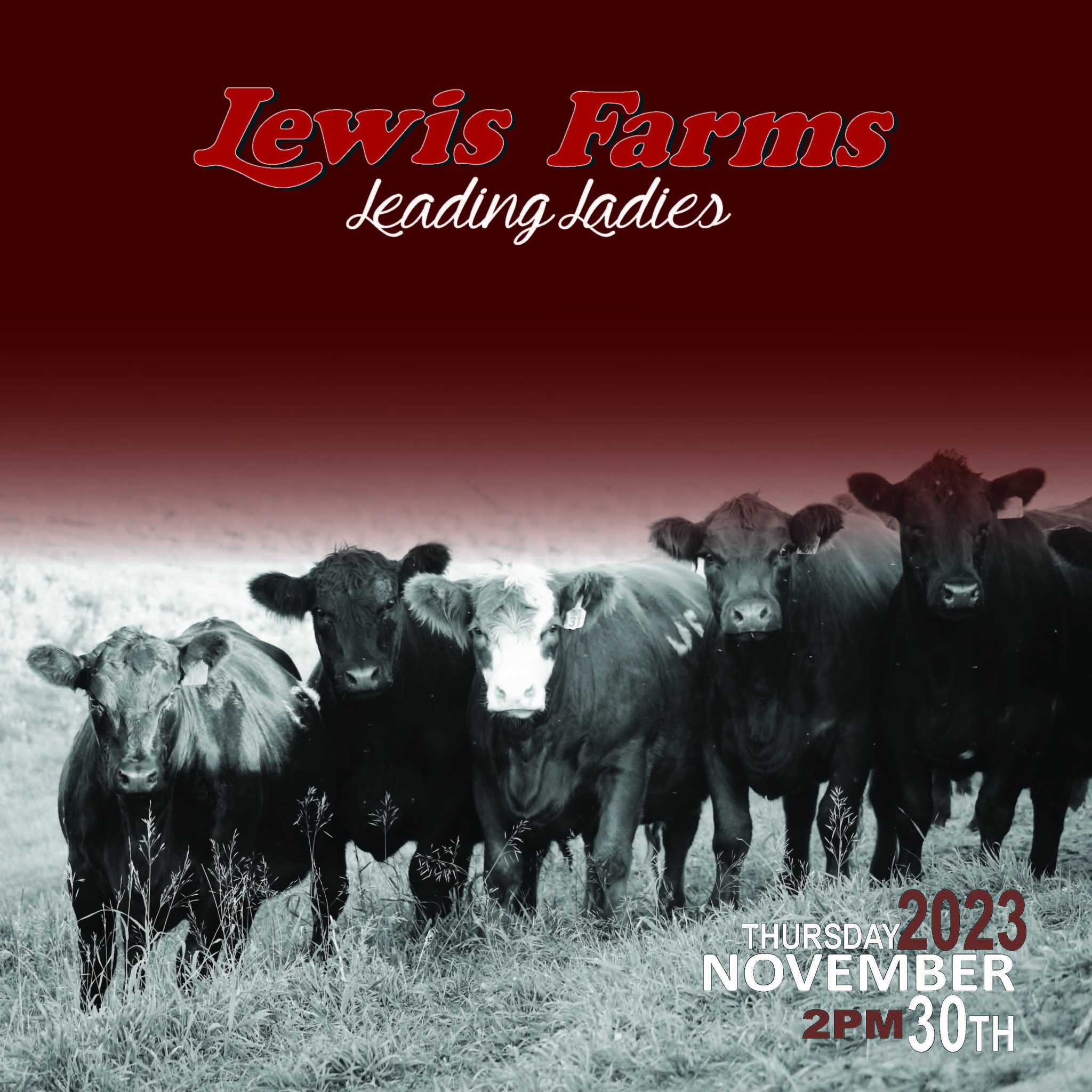 Lewis Farms Ltd. - Breeding Excellence