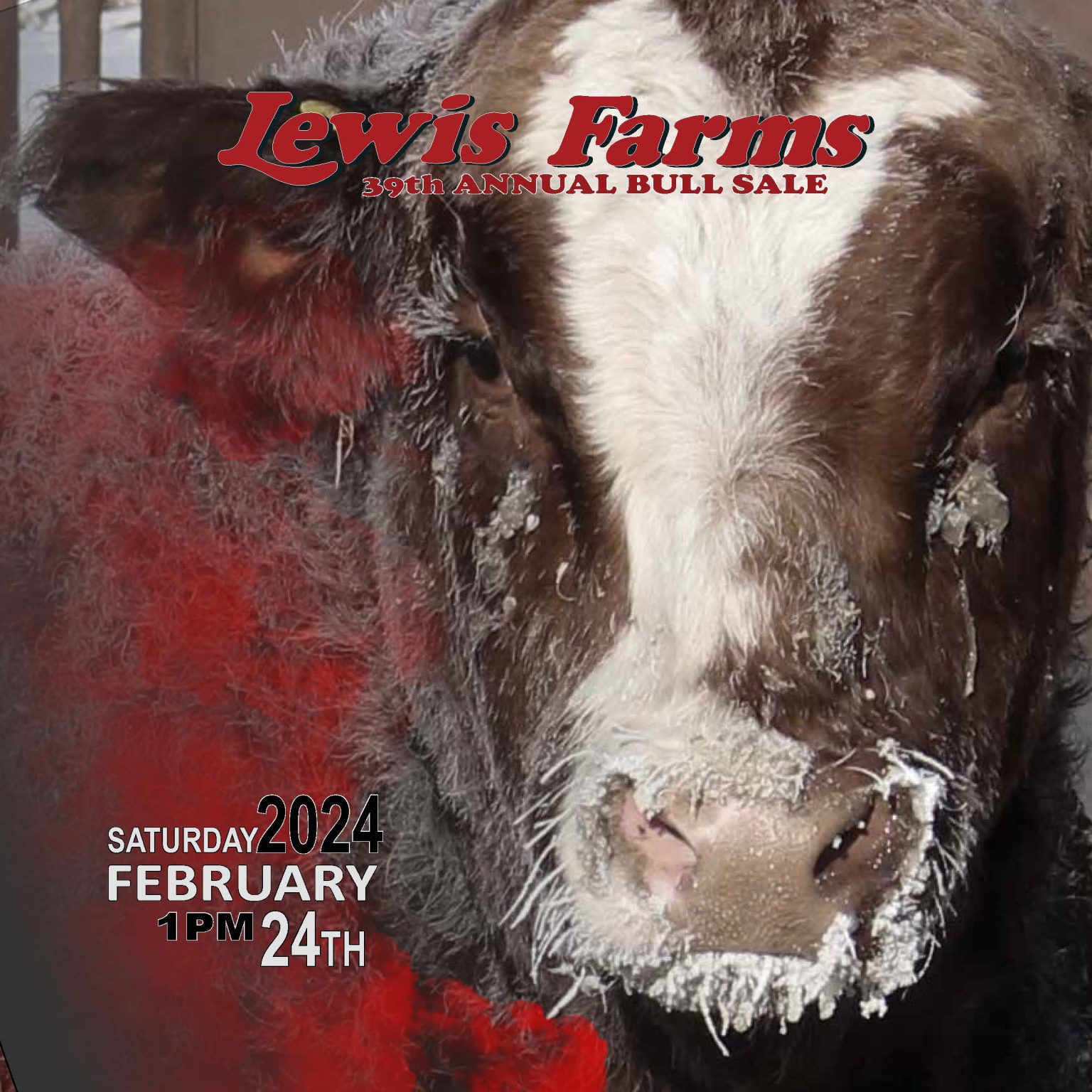 Lewis Farms Ltd. - Breeding Excellence